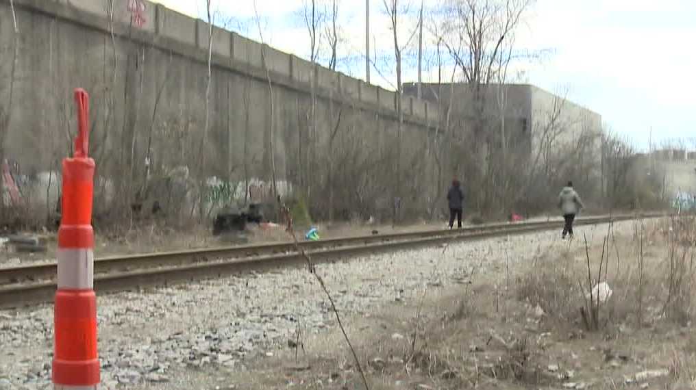 Widespread search launched for remains of murdered 19-year-old Sade ...