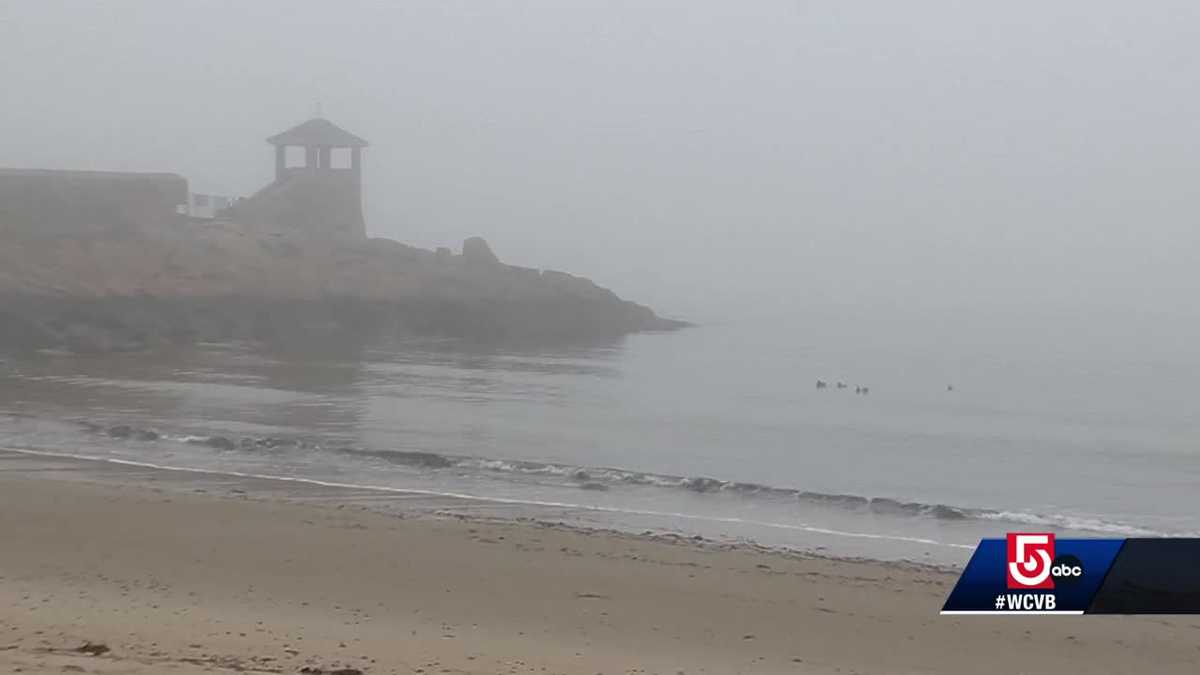 'Died doing what they loved': 2 divers remembered by family