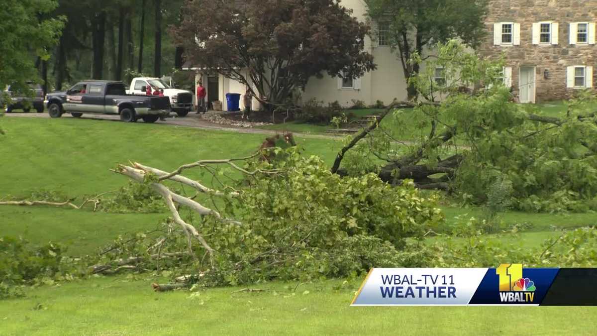 Storm leaves behind flooding, fallen trees
