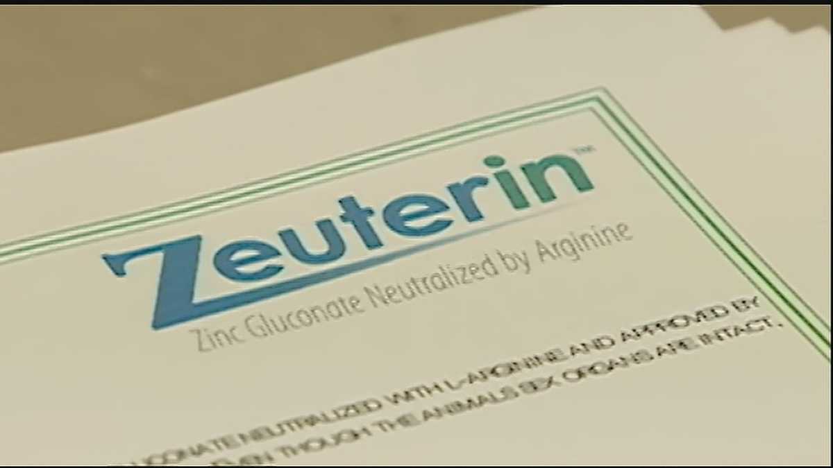 New neutering procedure for dogs means no surgery