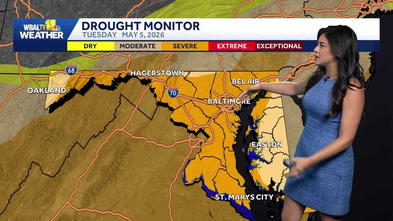 Alena Lee - Meteorologist