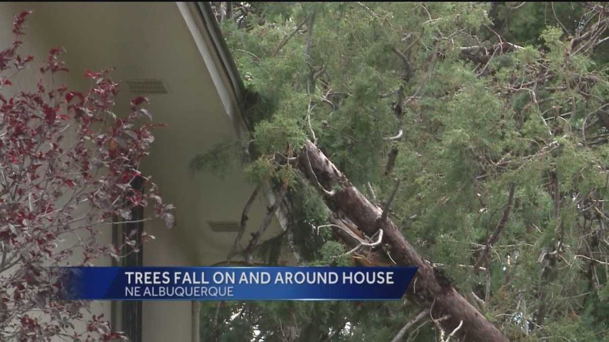 Trees fall on and around home