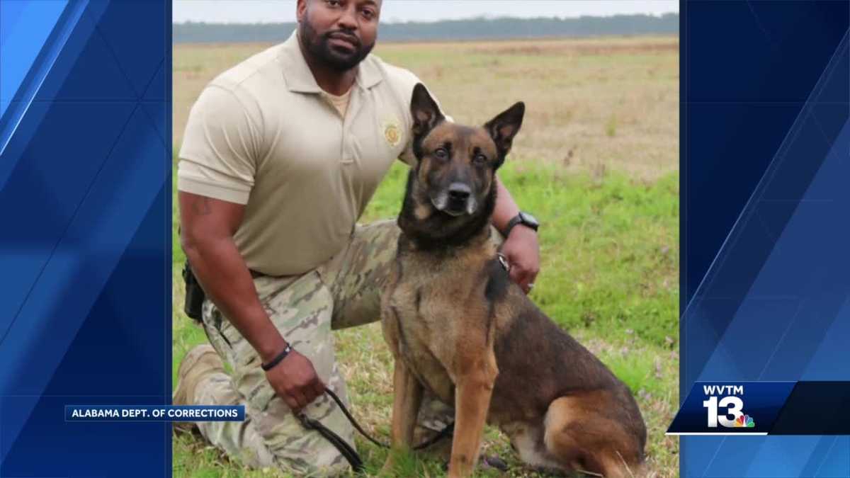 Alabama K-9 who died after drug search honored at memorial