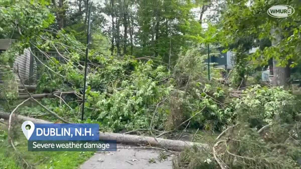 Larges trees fall near school, on power lines in Dublin, NH