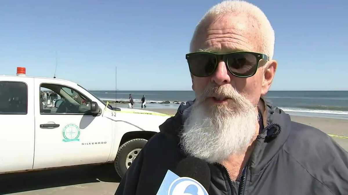 Eight dolphins dead after mass stranding event in New Jersey