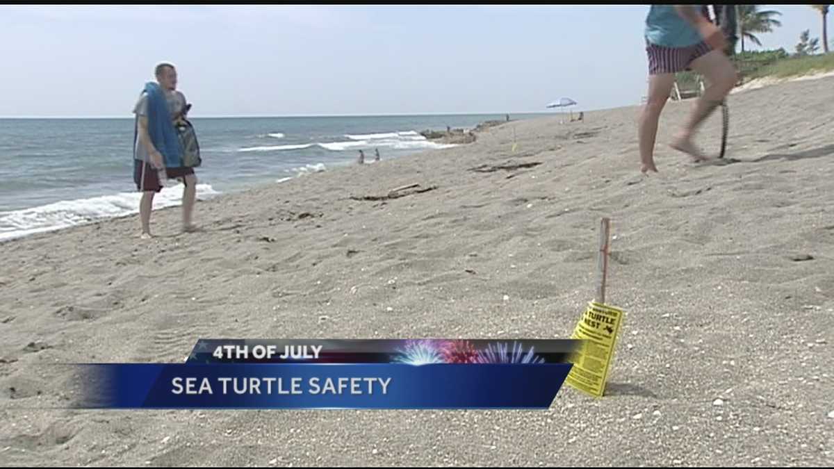 Sea turtle safety tips