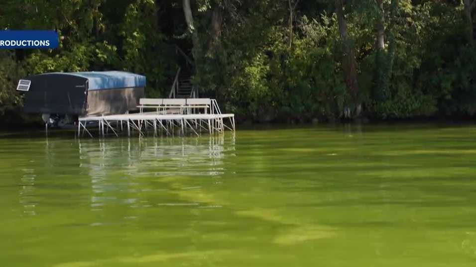 First lakewide algae bloom confirmed on Wisconsin's deepest inland lake