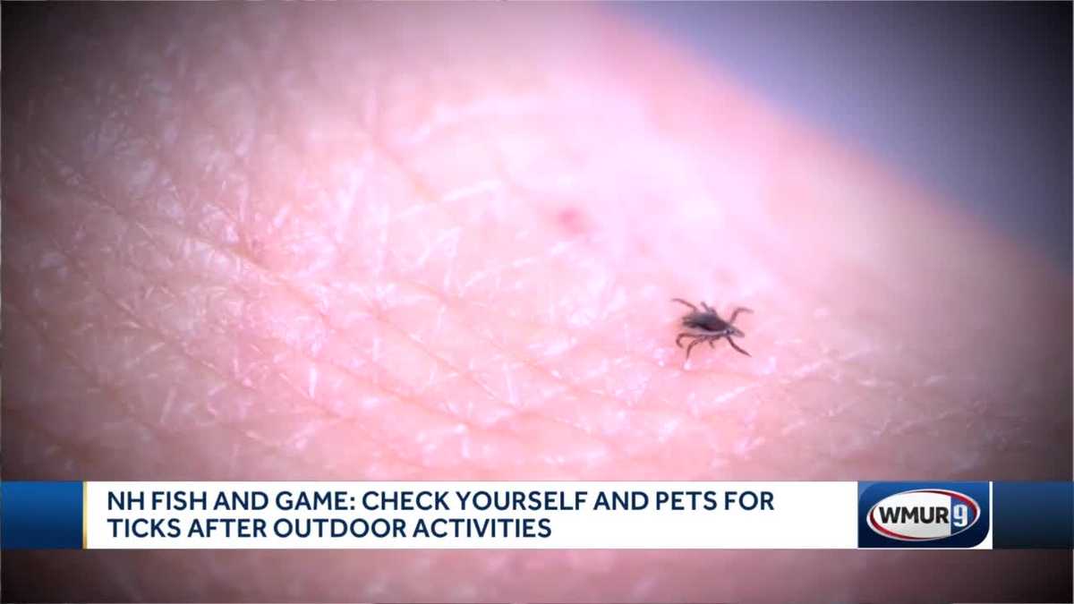 Fish and Game officials remind public to watch for ticks this spring