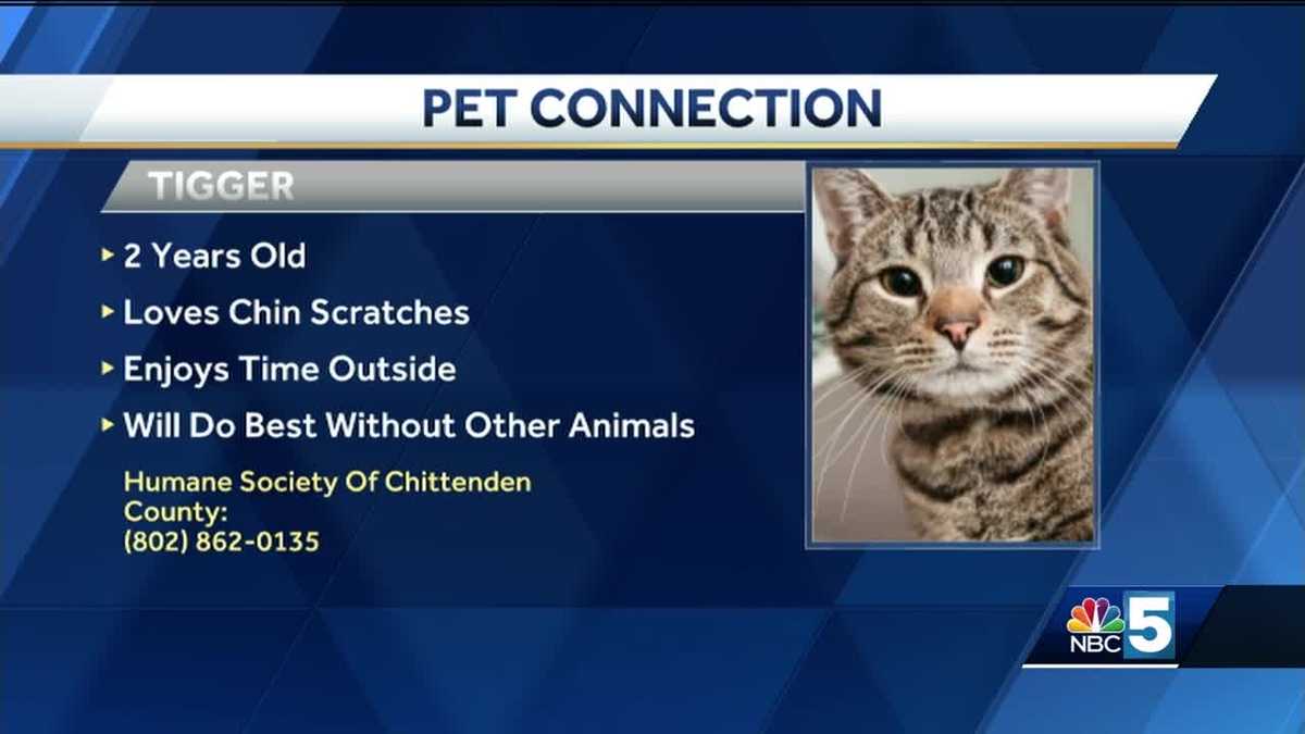 Pet Connection: 12-13-18