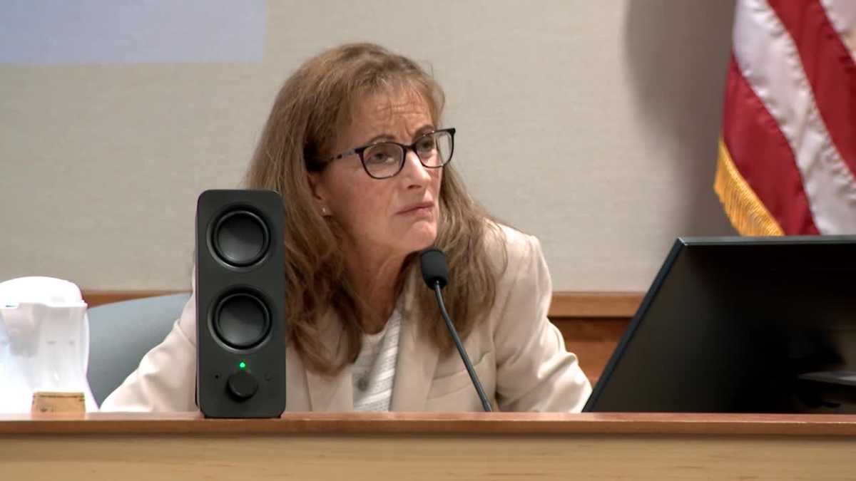 Logan Clegg trial video: Sister of Stephen Reid testifies