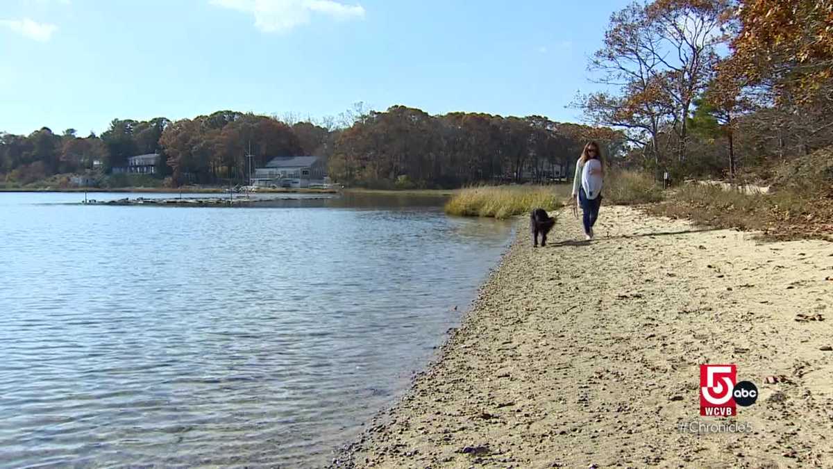 Where to visit in the Falmouth village of Waquoit and the international ...