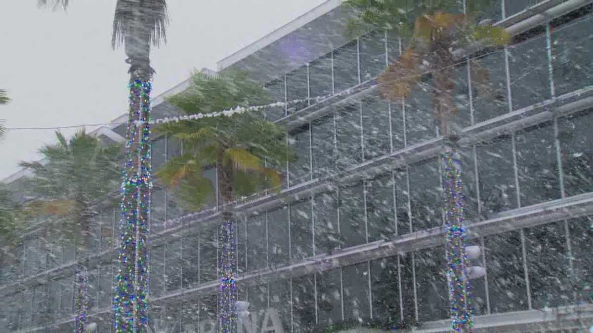'Light Up UCF' kicking off for holiday season