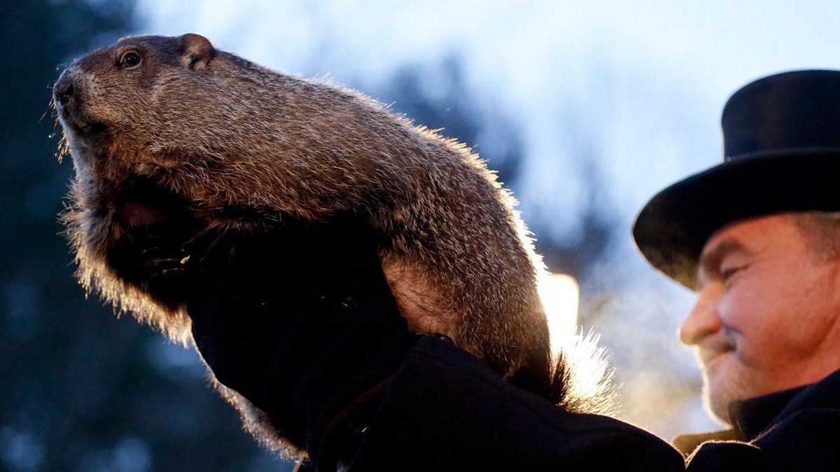 6 More Weeks of Winter, According to Groundhog