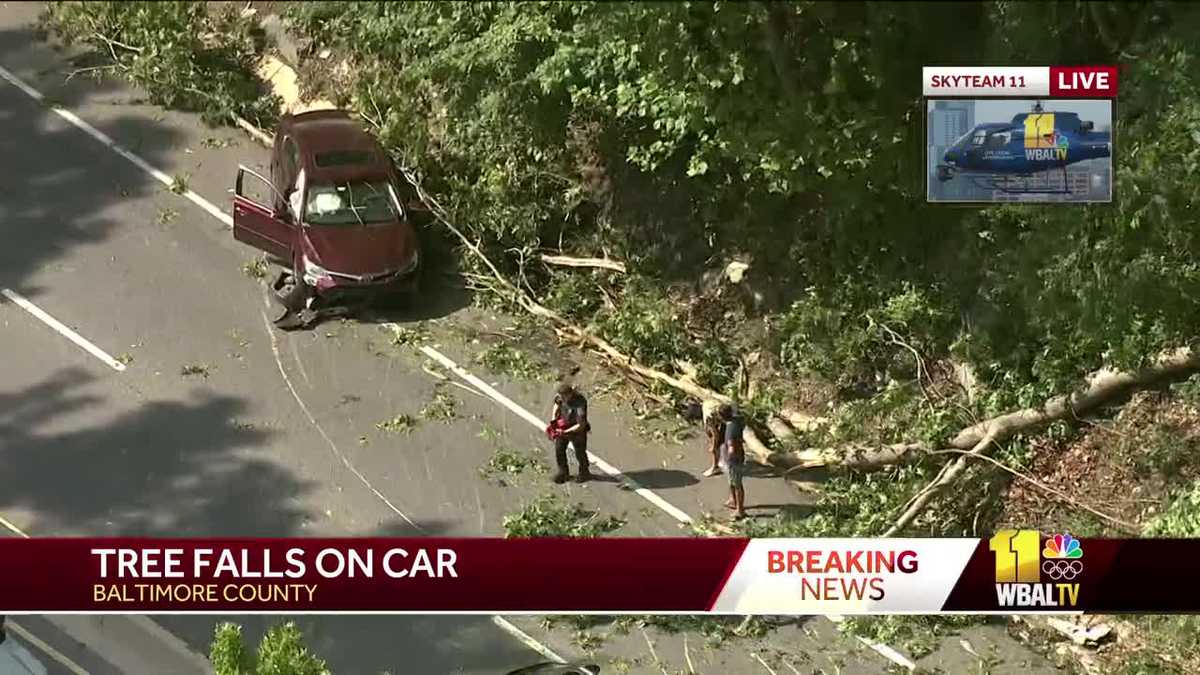 Tree falls on car on Route 40 in Baltimore County