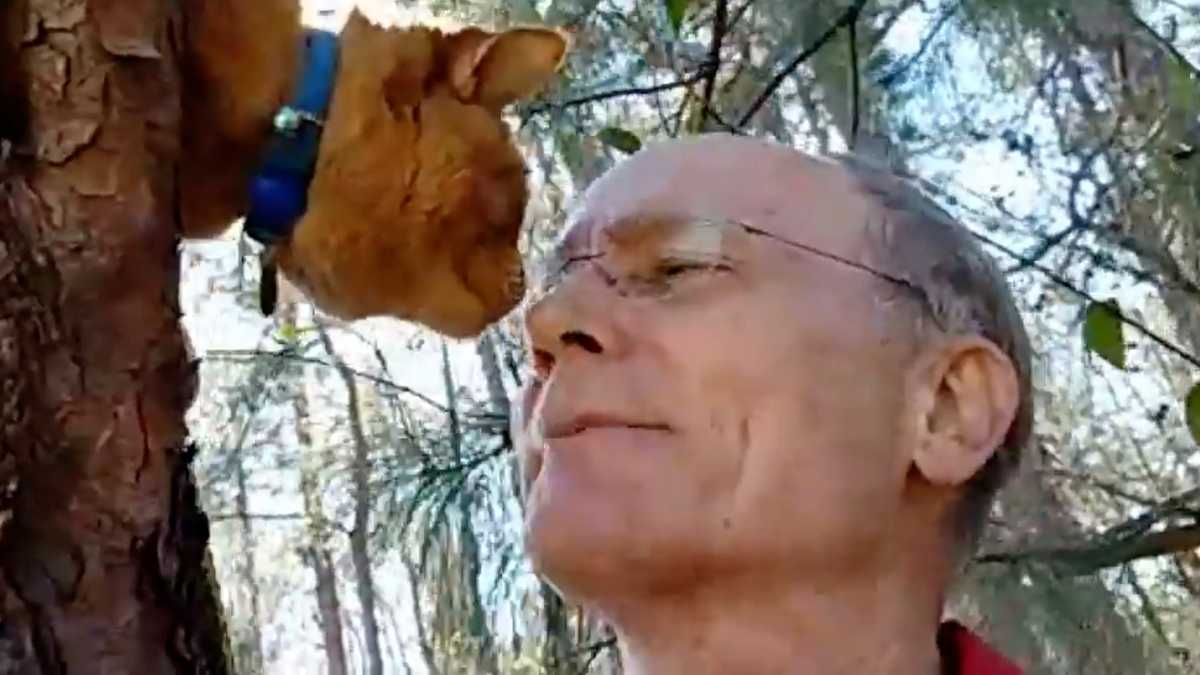 VIDEO: This retiree rescues cats stuck in trees for free