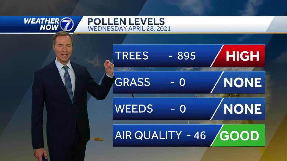 Very high tree pollen