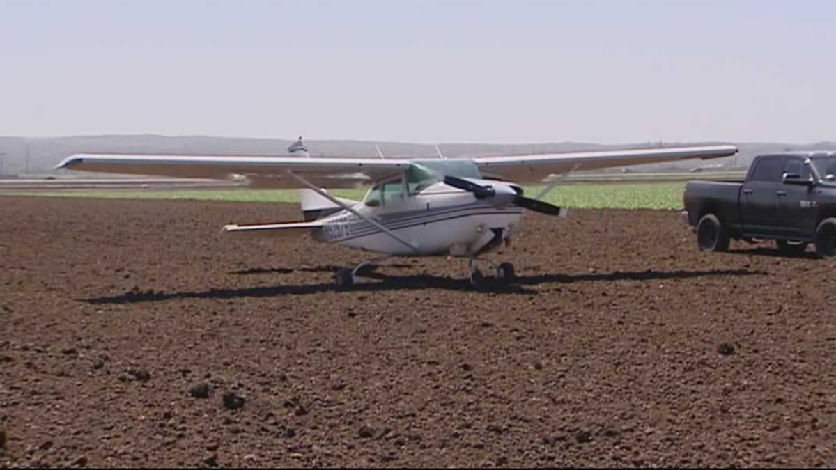 Plane makes emergency landing in field