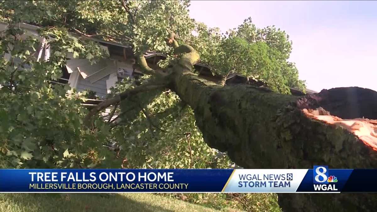 Tree falls into home in Millersville
