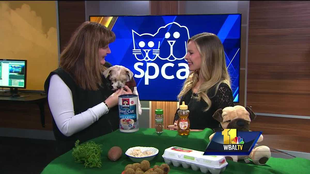 Thanksgiving leftover ideas for pets