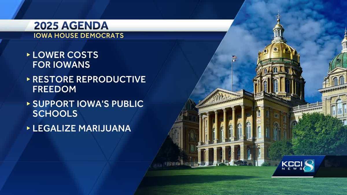 Iowa House Democrats’ 2025 session agenda includes abortion rights ...