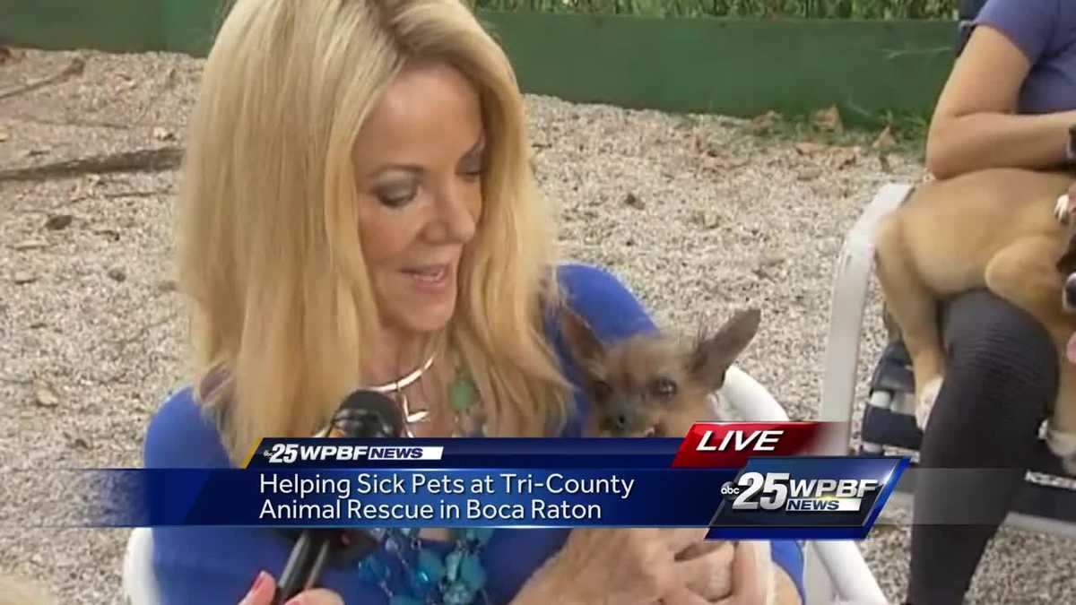 Helping sick pets at Tri-County Animal Rescue in Boca Raton