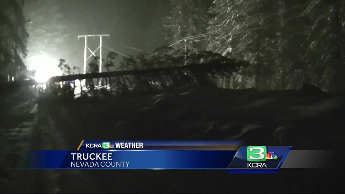 Tree falls on power lines, causes power outage in Truckee
