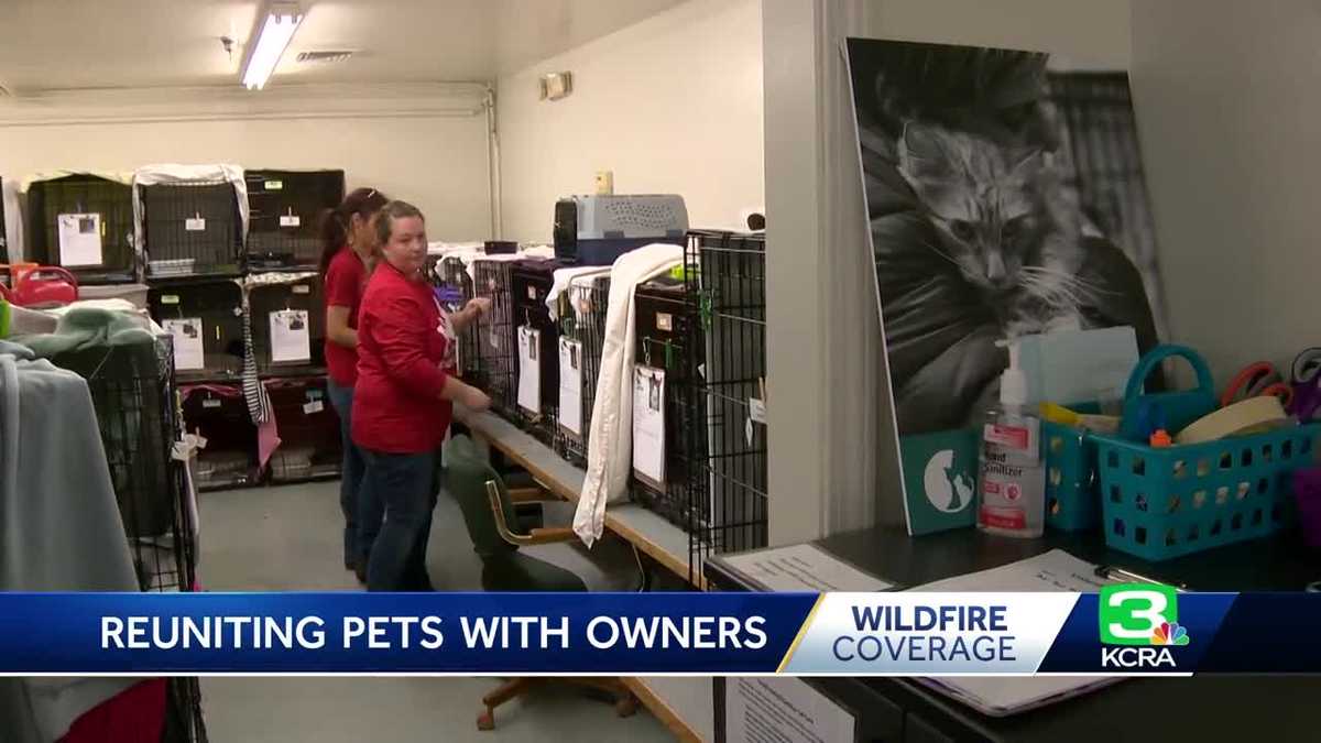 Volunteers continue to rescue pets from Camp Fire rubble