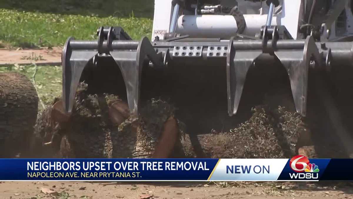 New Orleans residents upset over trees being chopped down uptown