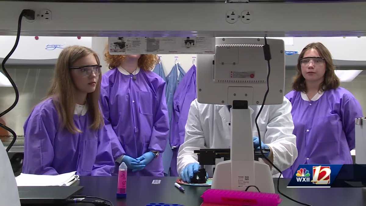 High Point University students tackle unique summer research projects