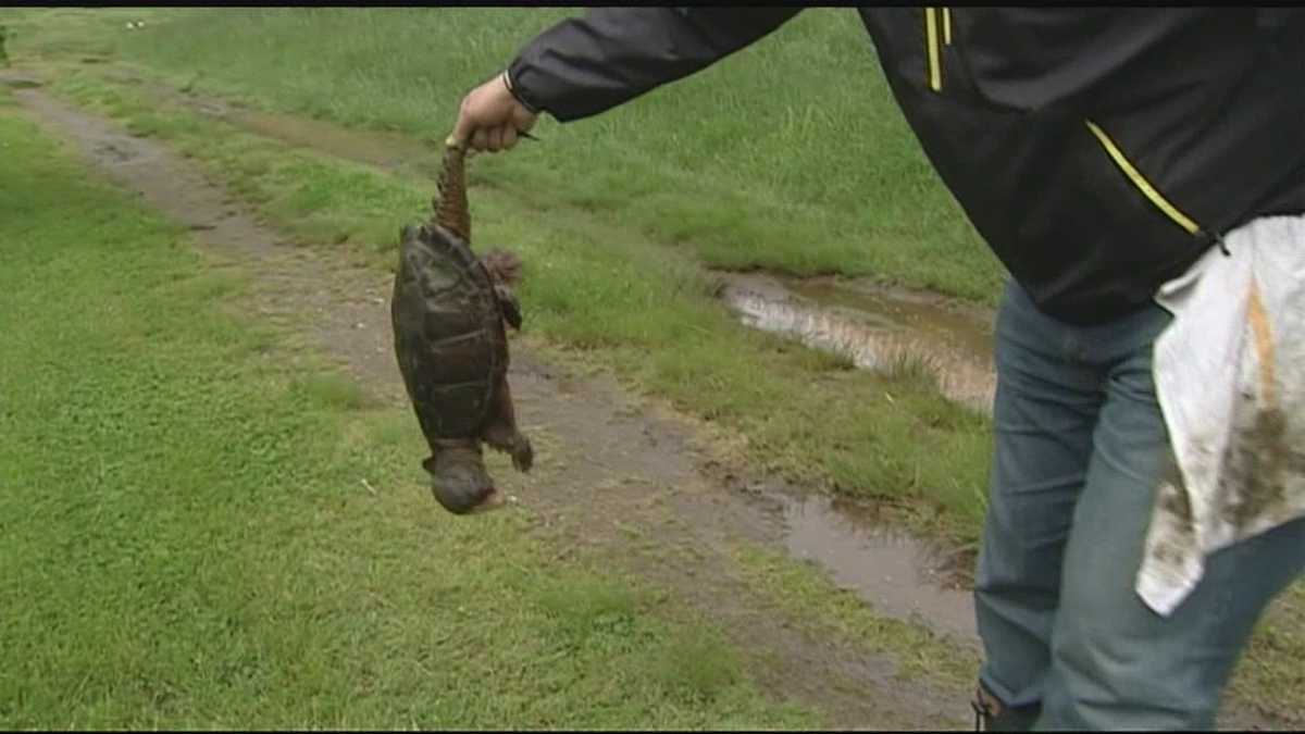 Austin Outdoors: Four Legged Fishing?