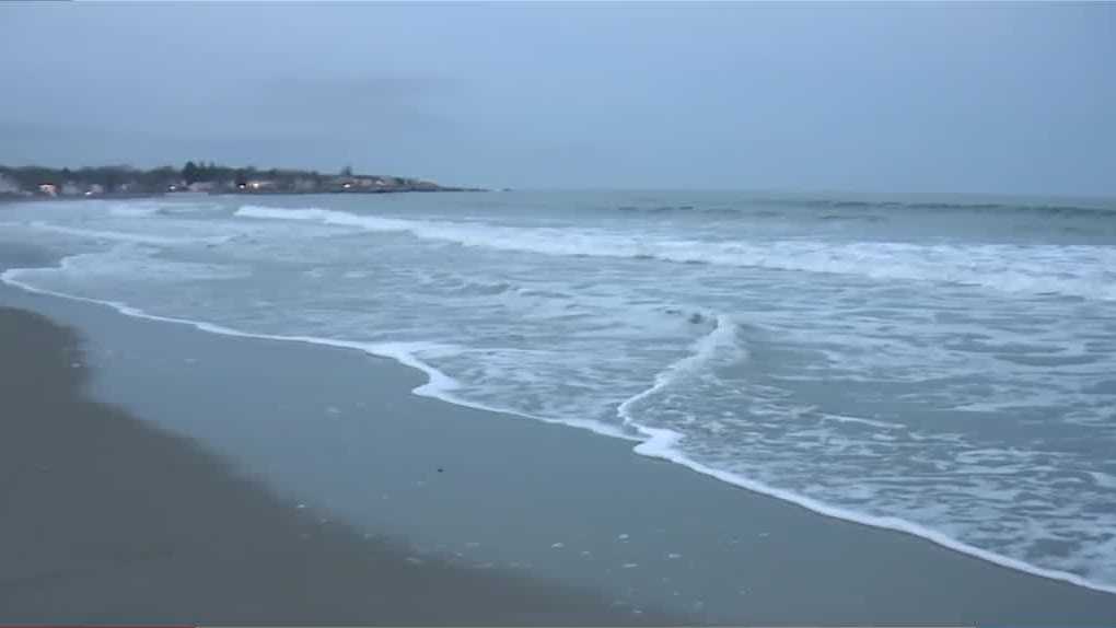 Rye officials investigating reports of dogs getting sick at a popular beach