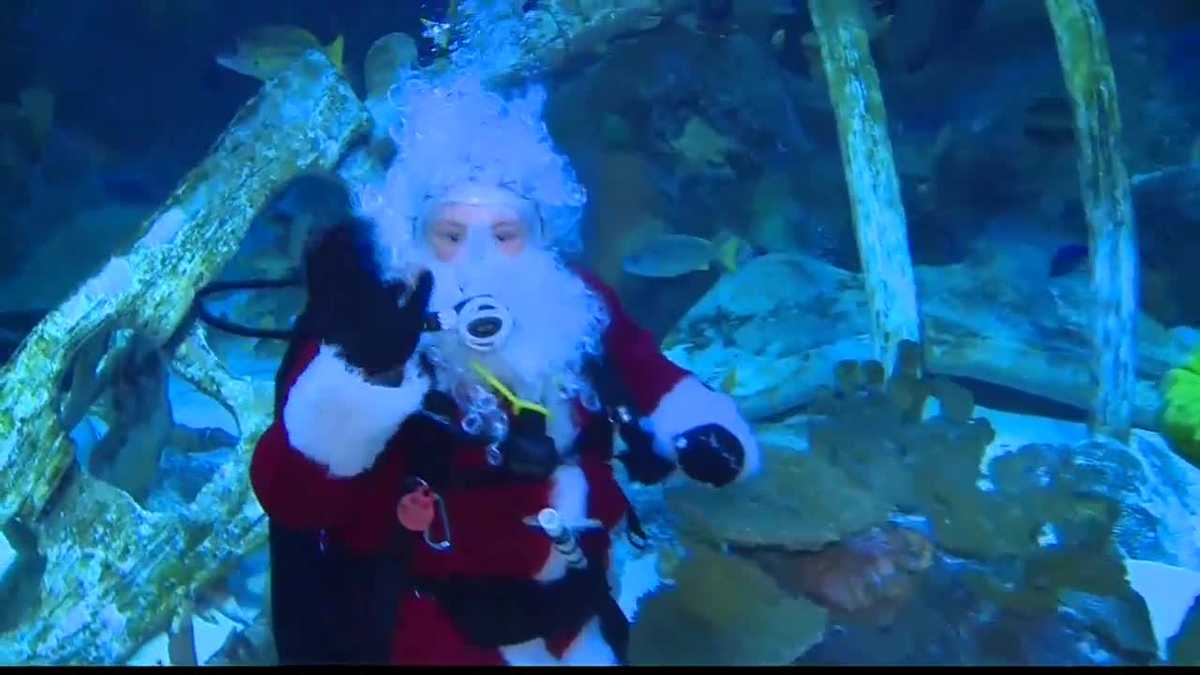 Scuba Claus participating in 'Sea of Lights' at KC's Sea Life aquarium