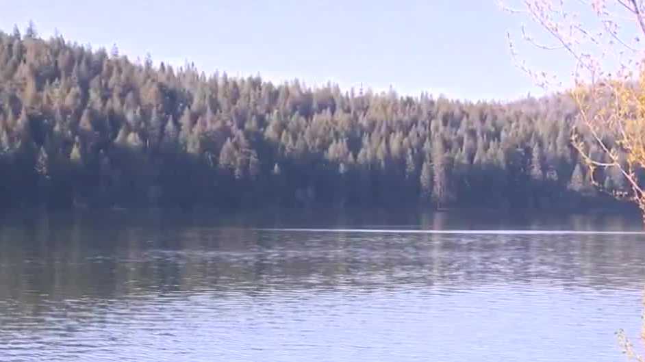 New golden mussel boat restrictions take effect at Jenkinson Lake