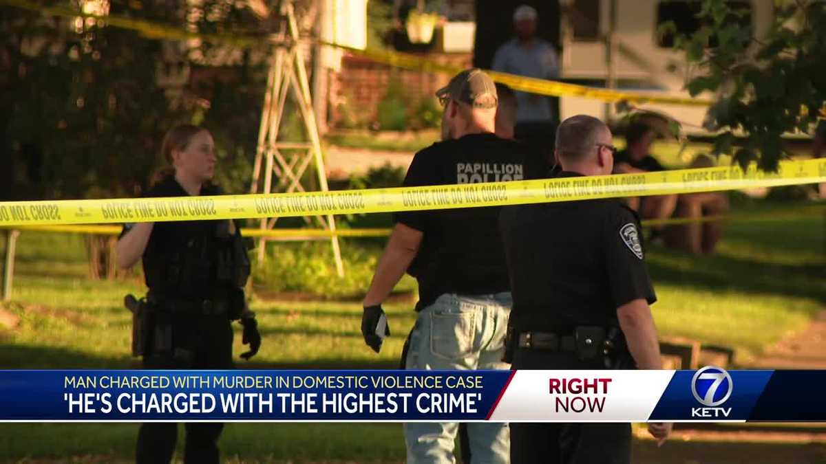 Man charged with murder in domestic violence case