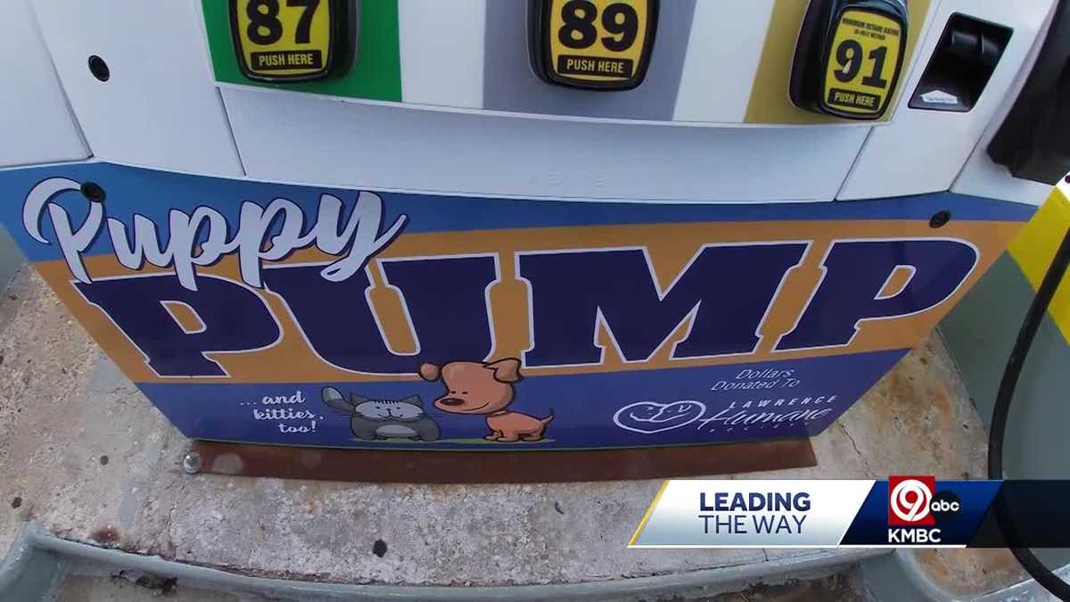 Lawrence's Puppy Pump finds helps area Humane Society