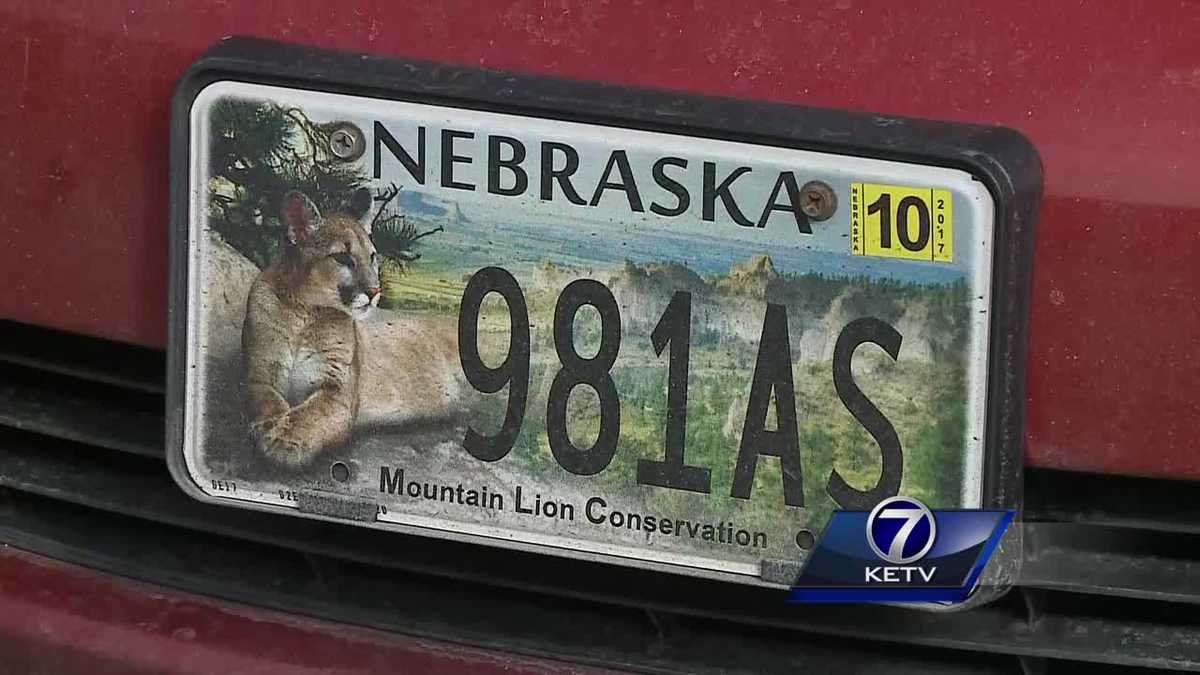 New Puma plate gaining popularity