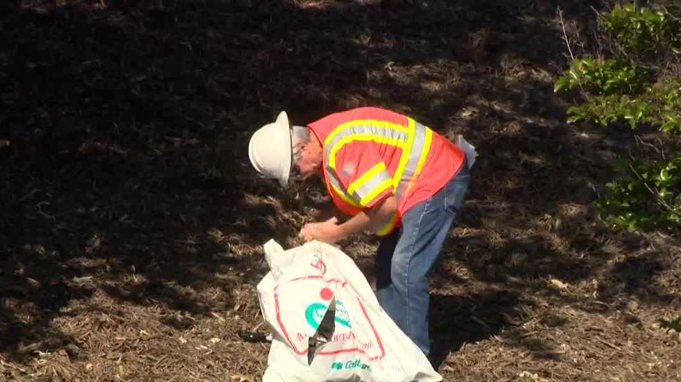 Caltrans workers clean up San Joaquin County highways