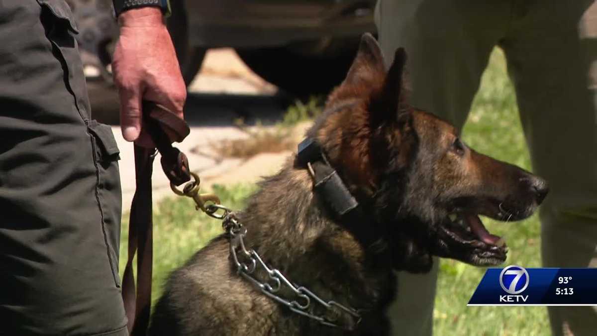 Douglas County Sheriff's Office inducts new K-9 handlers