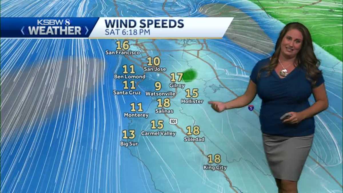 Windy weekend on the central coast