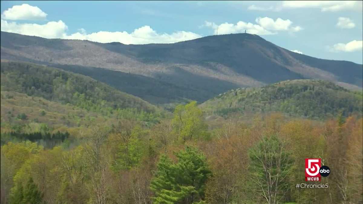 The Connecticut River Valley is where the study of dinosaurs began
