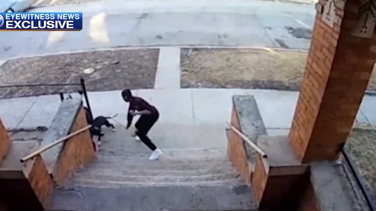 'The dog tried to bite me': Teen with broom pushes dog away from kids ...