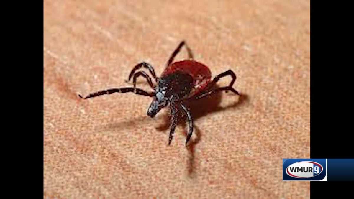 Grow it Green: Winter ticks