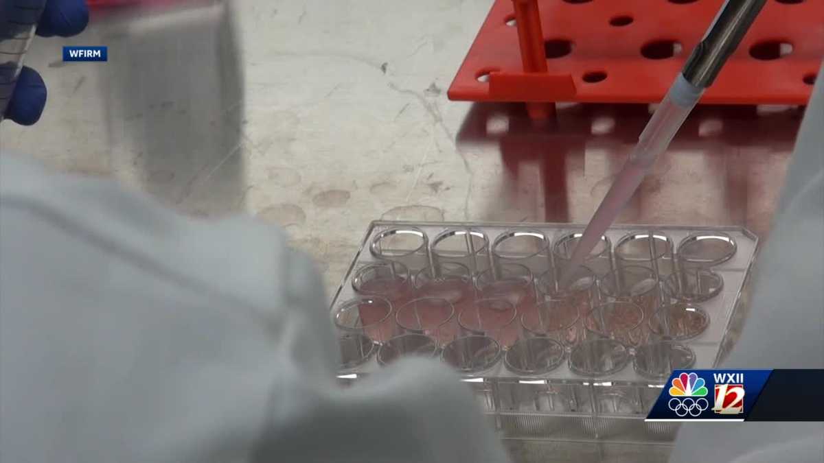 Winston-Salem scientists win NASA Vascular Tissue Challenge