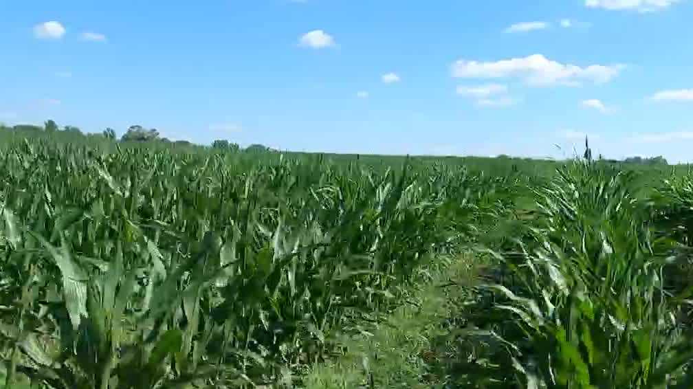 Iowa farmers highlight ongoing and evolving conservation efforts to ...