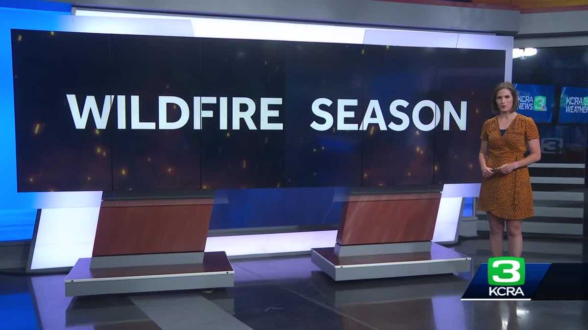 2023 wildfire season in US off to the quietest start in a decade