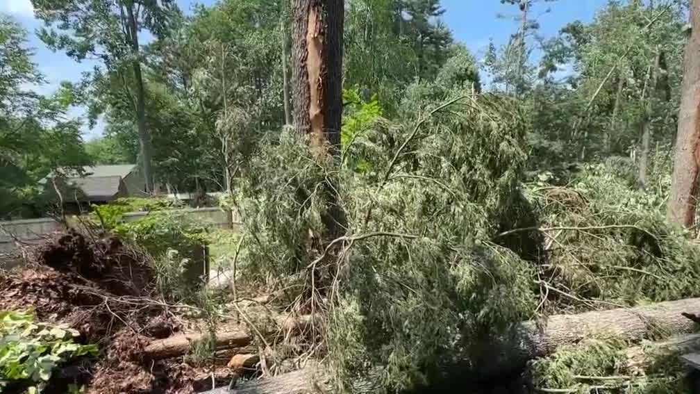 Milford, New Hampshire: Microburst topples trees, causing damage