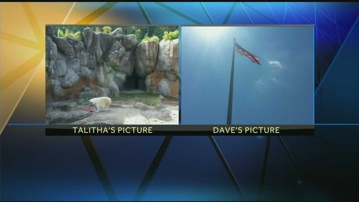 This weeks Summer Snapshot Showdown