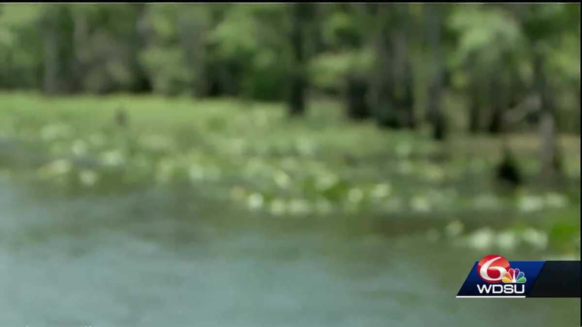 Coastal agency: Hundreds of acres of marsh built, restored