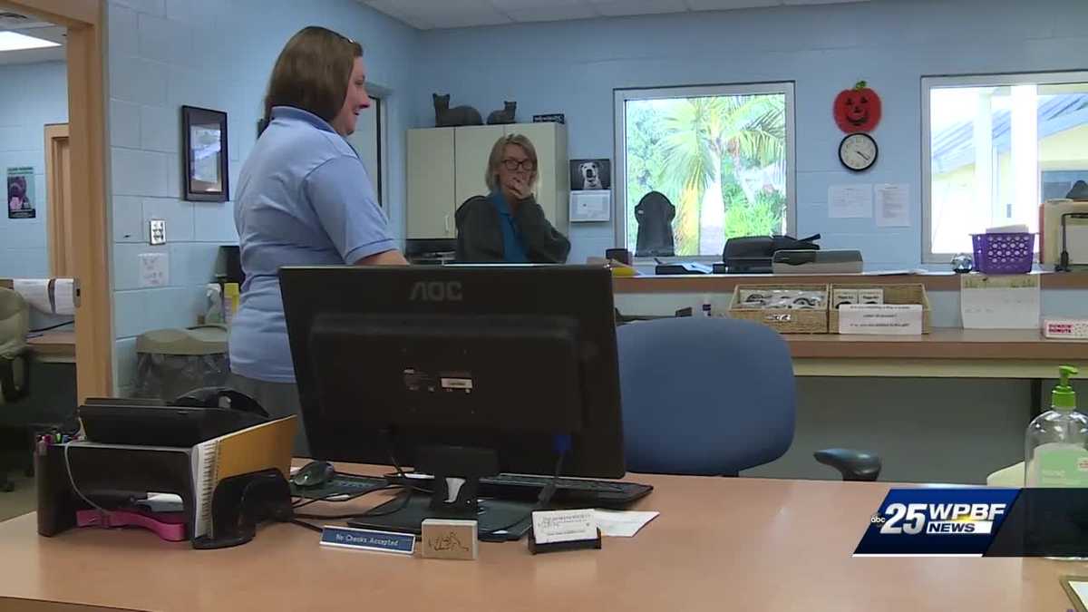 Humane Society of the Treasure Coast rescues animals from the Panhandle