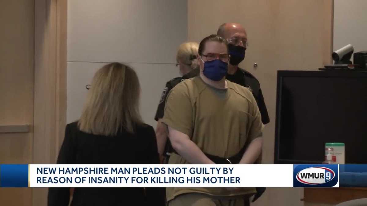 Man pleads not guilty by reason of insanity for stabbing mother to death